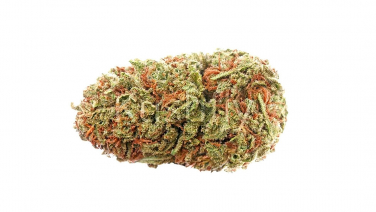 Godzilla (AAA+)-1oz – Loveweed